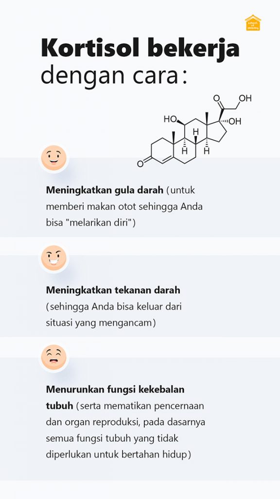 Cara Ampuh Istirahatkan Hormon (Stres) Kortisol | School of Parenting